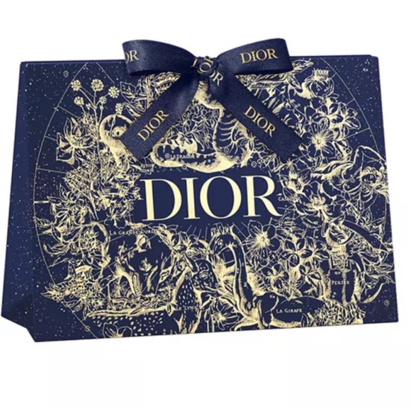 Dior | Bags | Dior Paper Gift Shopping Bag Limited Edition 222 New 0x7 ...